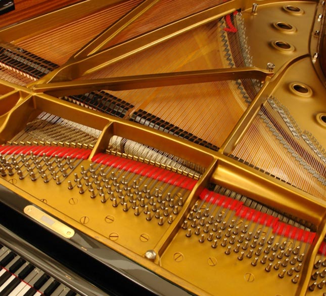 Neuman 開発の軌跡 2017 (その3) - Yudo